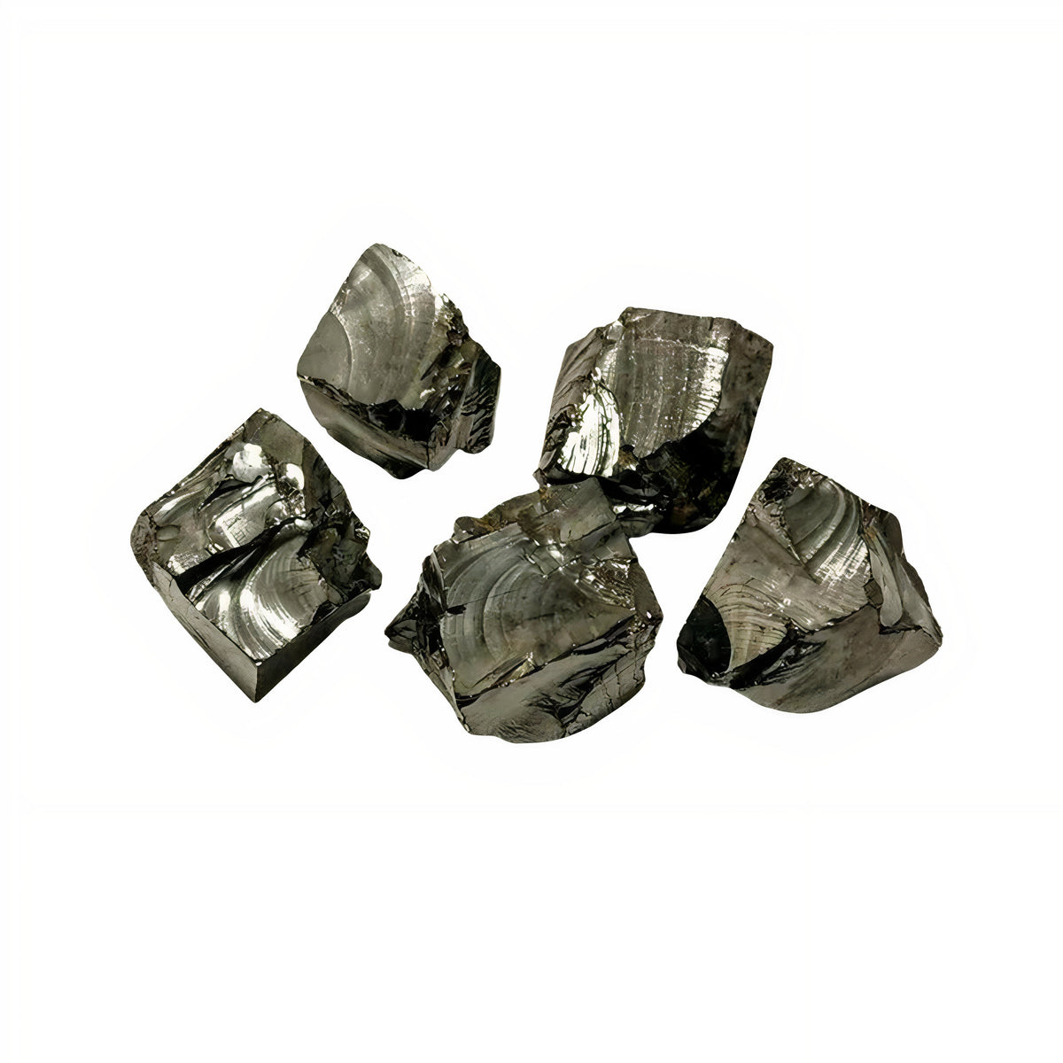 Rare Elite Noble Shungite Stones (Set of 5) | bodybud UK