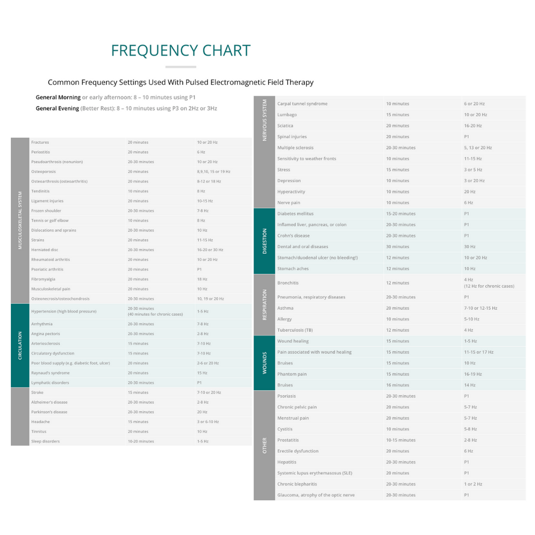 OMI PEMF Therapy Family Package | bodybud UK